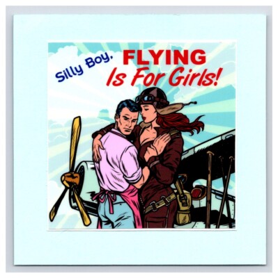 Sticker: Aviation - Silly Boy, Flying Is For Girls! | eBay