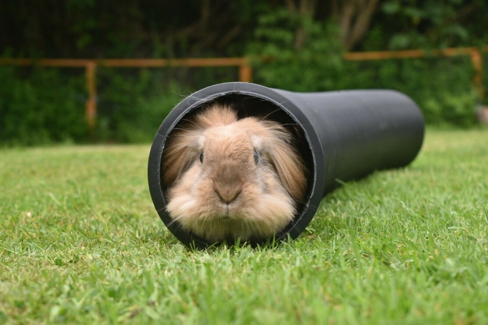 RWAF Approved Rabbit Tunnel, Flexible 6 inch & 8 inch Runaround Play ...