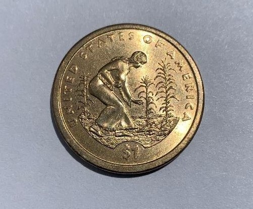 Sacagawea $1 Dollar Coin No Date or Mint Mark , good condition | eBay