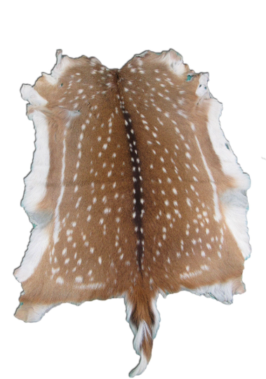 Axis Deer Hide Rug Grade Antelope Rug Axis Deer skin Argentina Axis ...