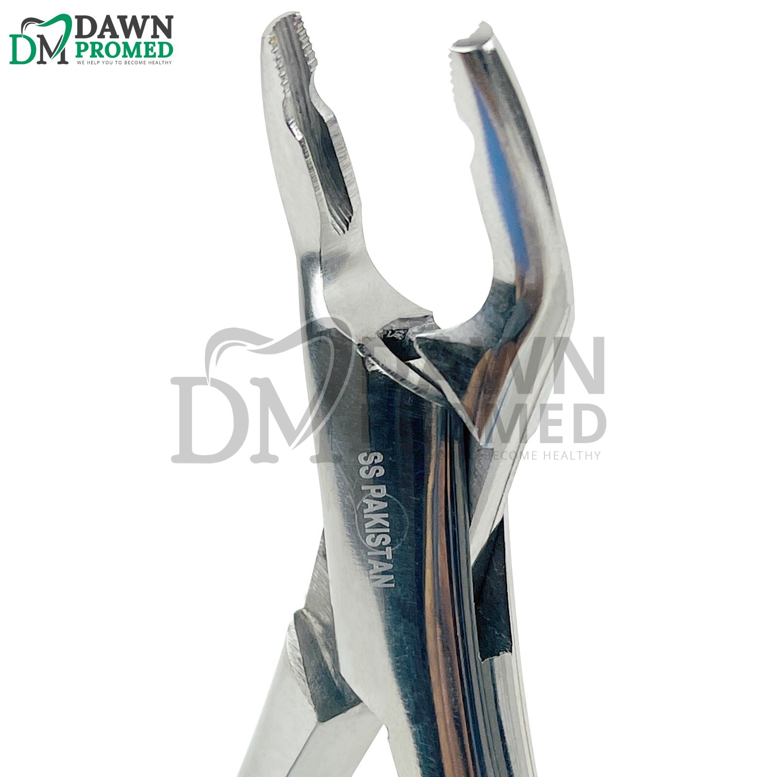 Dental Extracting Forceps #150XAS Serrated, Split Beak for Upper Teeth ...