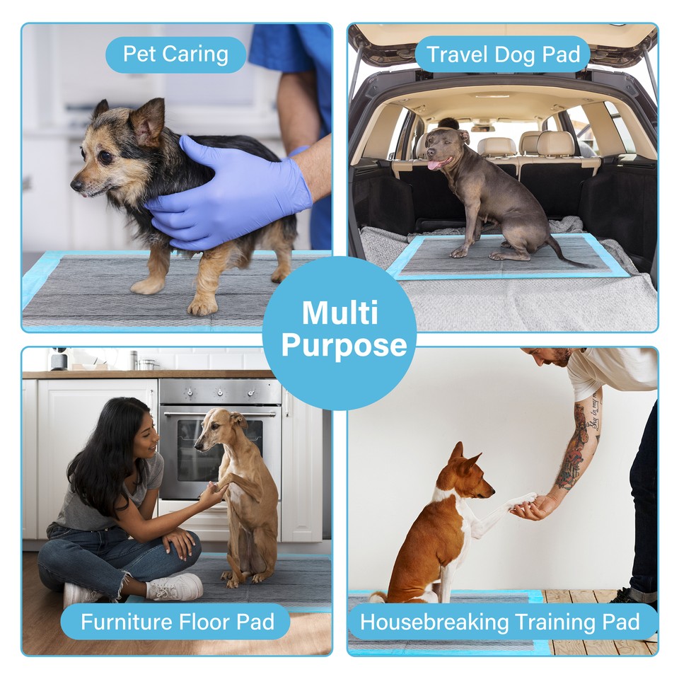 100PCS Super-Absorbent Waterproof Dog and Puppy Training Housebreaking ...