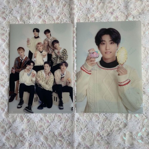 Stray Kids Han FamilyMart Clear File Folder From Japan | eBay