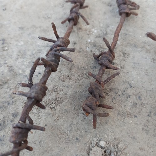 WW1 WWI Original German Barbed Wire - Military Rusty relic WWII WW2 | eBay