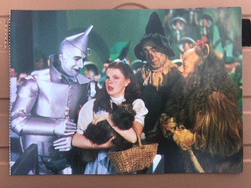 POSTCARD UNTHE WIZARD OF OZ- DOROTHY’S FRIENDS PLEAD WITH HER TO STAY IN OZ | eBay