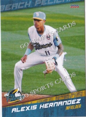 2024 Myrtle Beach Pelicans Alexis Hernandez RC Rookie Card Cubs Minor ...