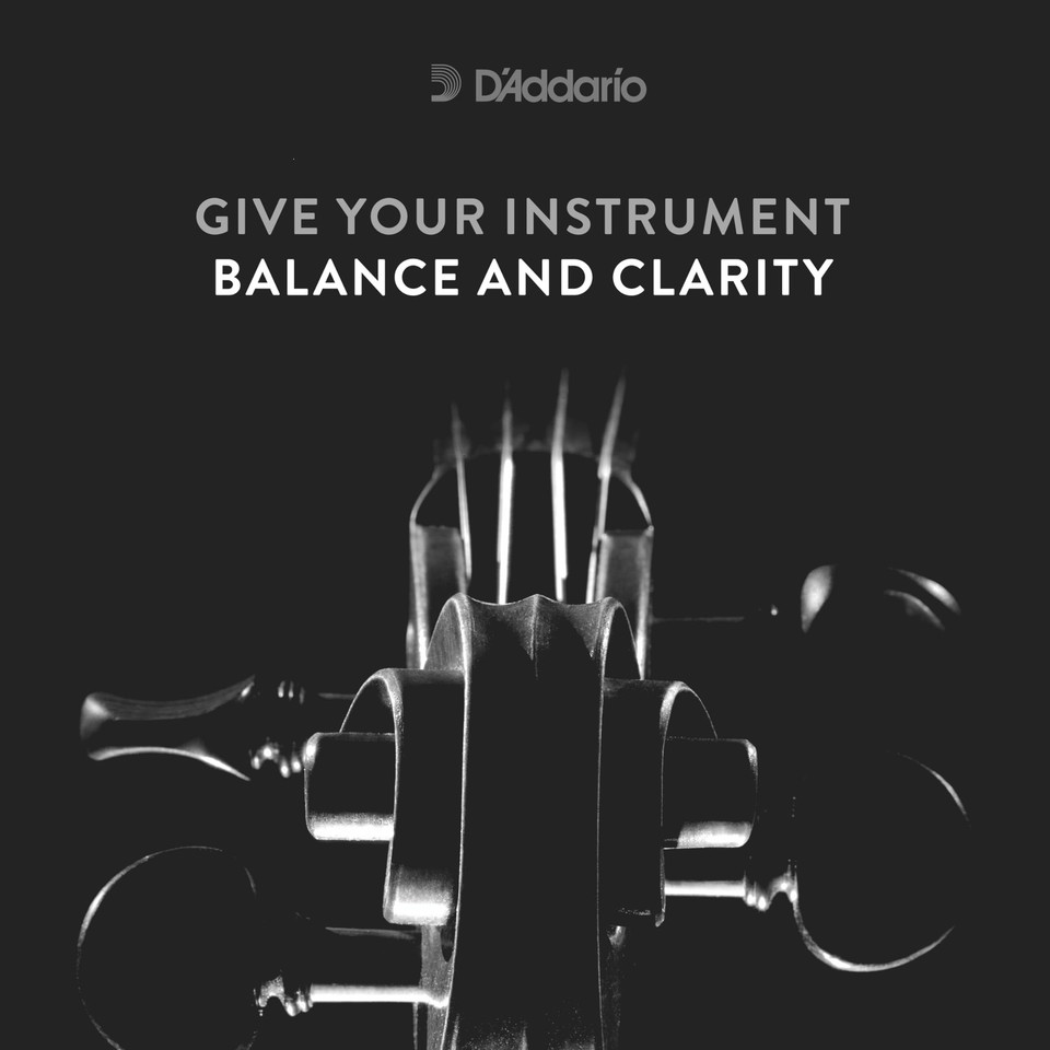 D'Addario Kaplan Vivo Violin Strings, KV310, 3/4m, Medium Tension, Set ...