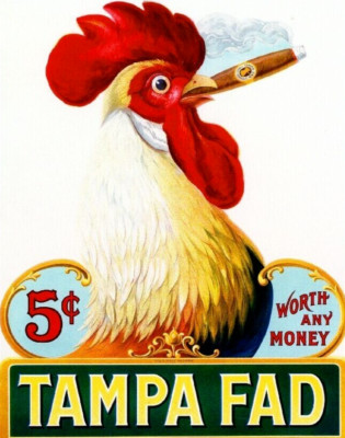 Tampa Fad Rooster Chicken Vintage Cigar Box Label Advertisement Art ...