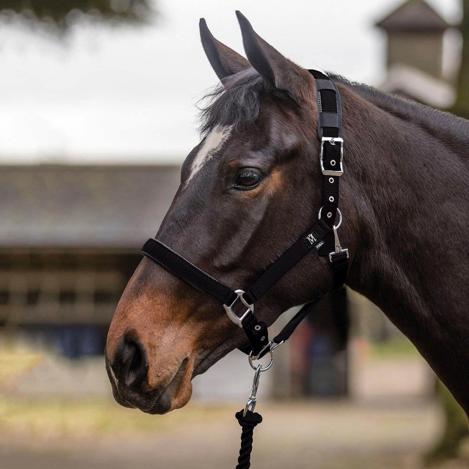 Mark Todd Deluxe Padded Headcollar & Leadrope Set Pony/Cob/Full Various ...