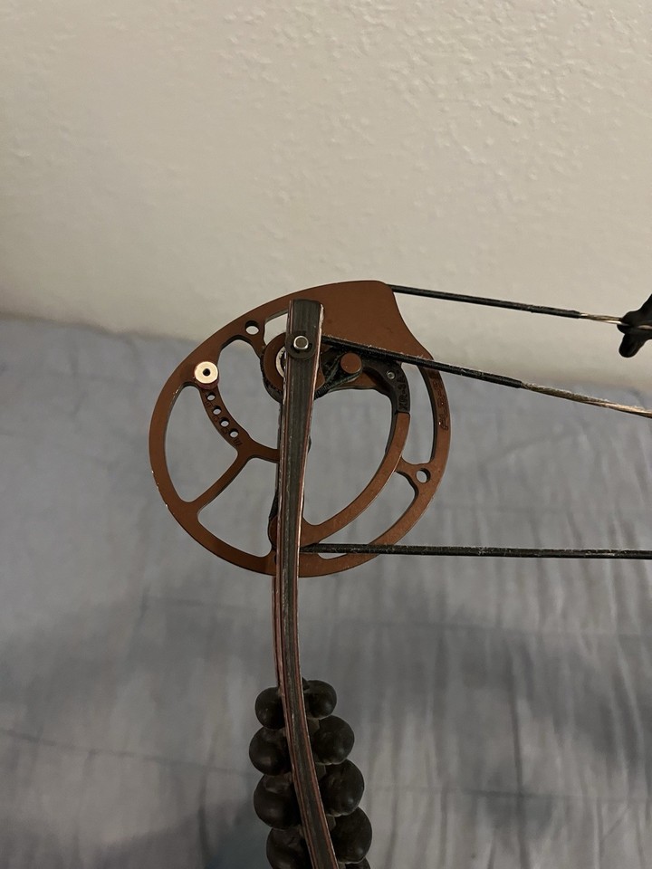 Hoyt Rampage XT Bow Ready To Hunt | eBay