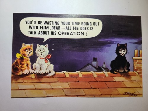 Vintage Postcard Funny Novelty Rude Bamforth Comic Unused Cats | eBay