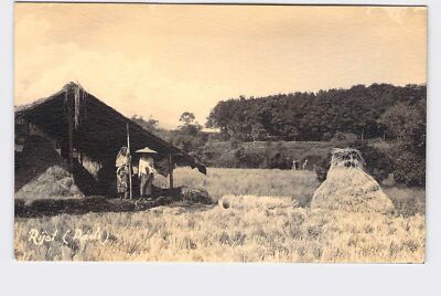 RPPC Real Photo Postcard Foreign Japan Rice Field Rijst Workers In Hut ...