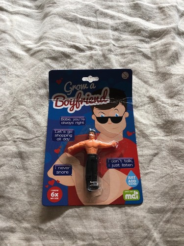 Grow a BOYFRIEND Novelty Funny Gift for sale online | eBay Australia