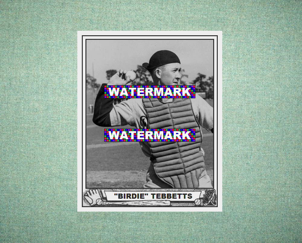 Birdie Tebbetts Detroit Tigers 1940 Play Ball Style Custom Baseball Art ...