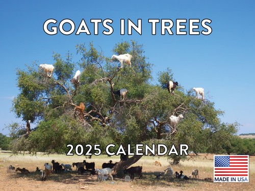 Goats In Trees Calendar 2025 Goat Monthly Wall Calender 12 Month | eBay