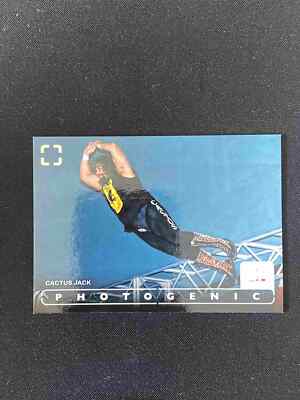 Cactus Jack 2024 Panini Photogenic WWE #69 | eBay