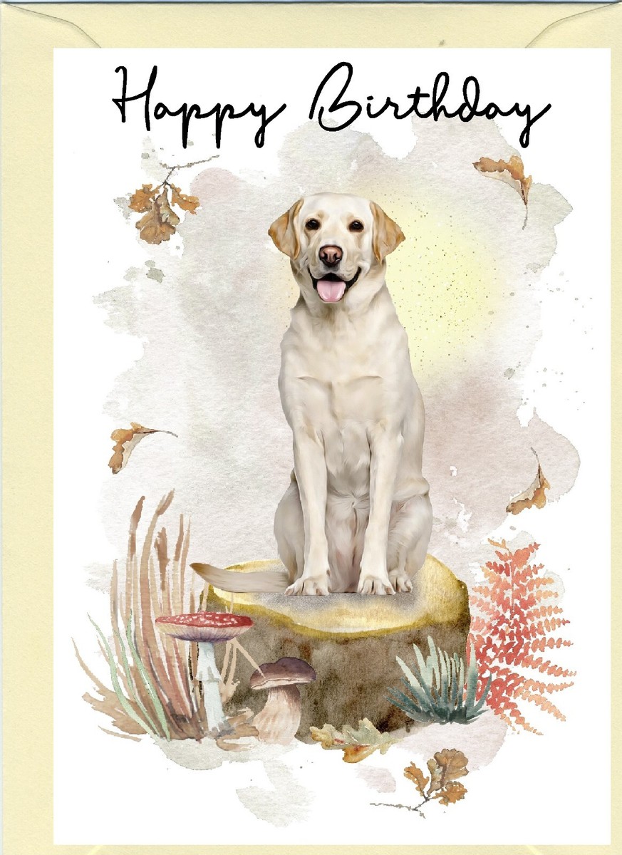 Labrador Retriever Birthday Cards Black Lab Birthday Card Orange