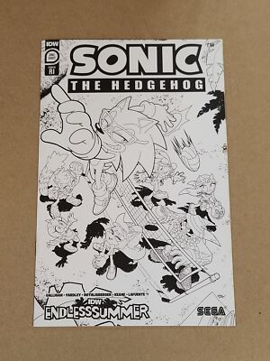 IDW ENDLESS SUMMER SONIC THE HEDGEHOG COVER C 1:10 COLORING BOOK ...