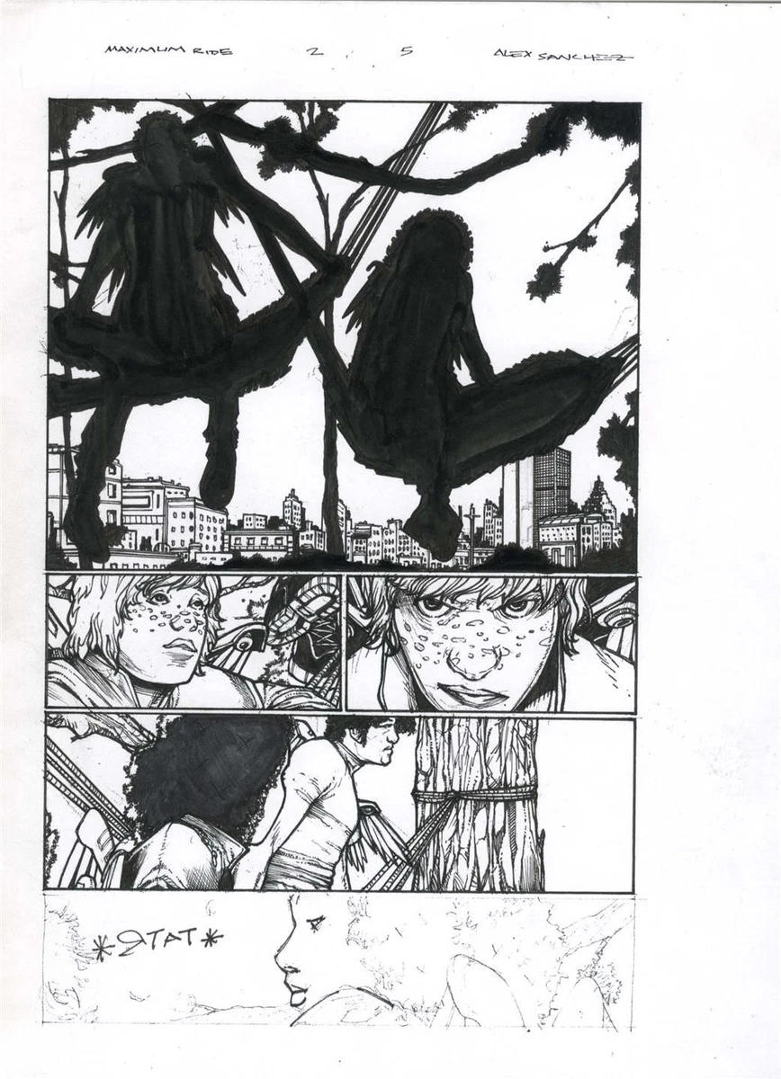 Maximum Ride Max Flying