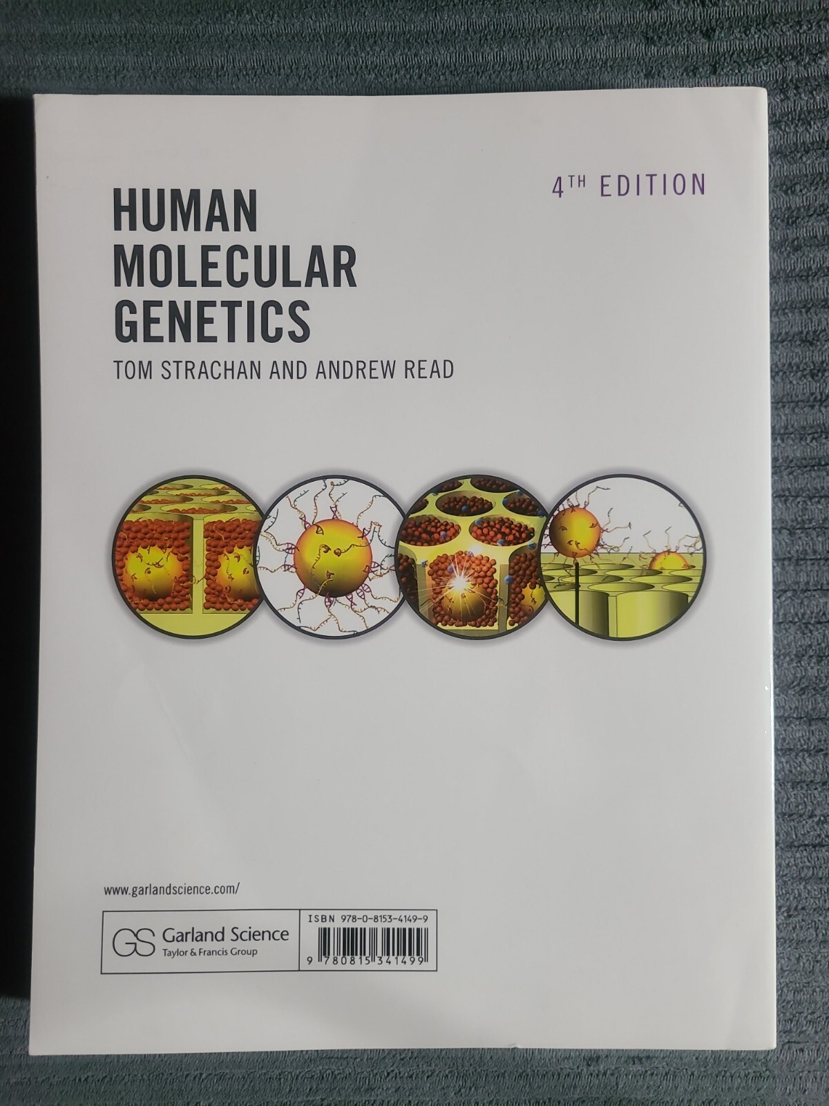 Human Molecular Genetics by Andrew Read and Tom Strachan (2010, UK-B ...