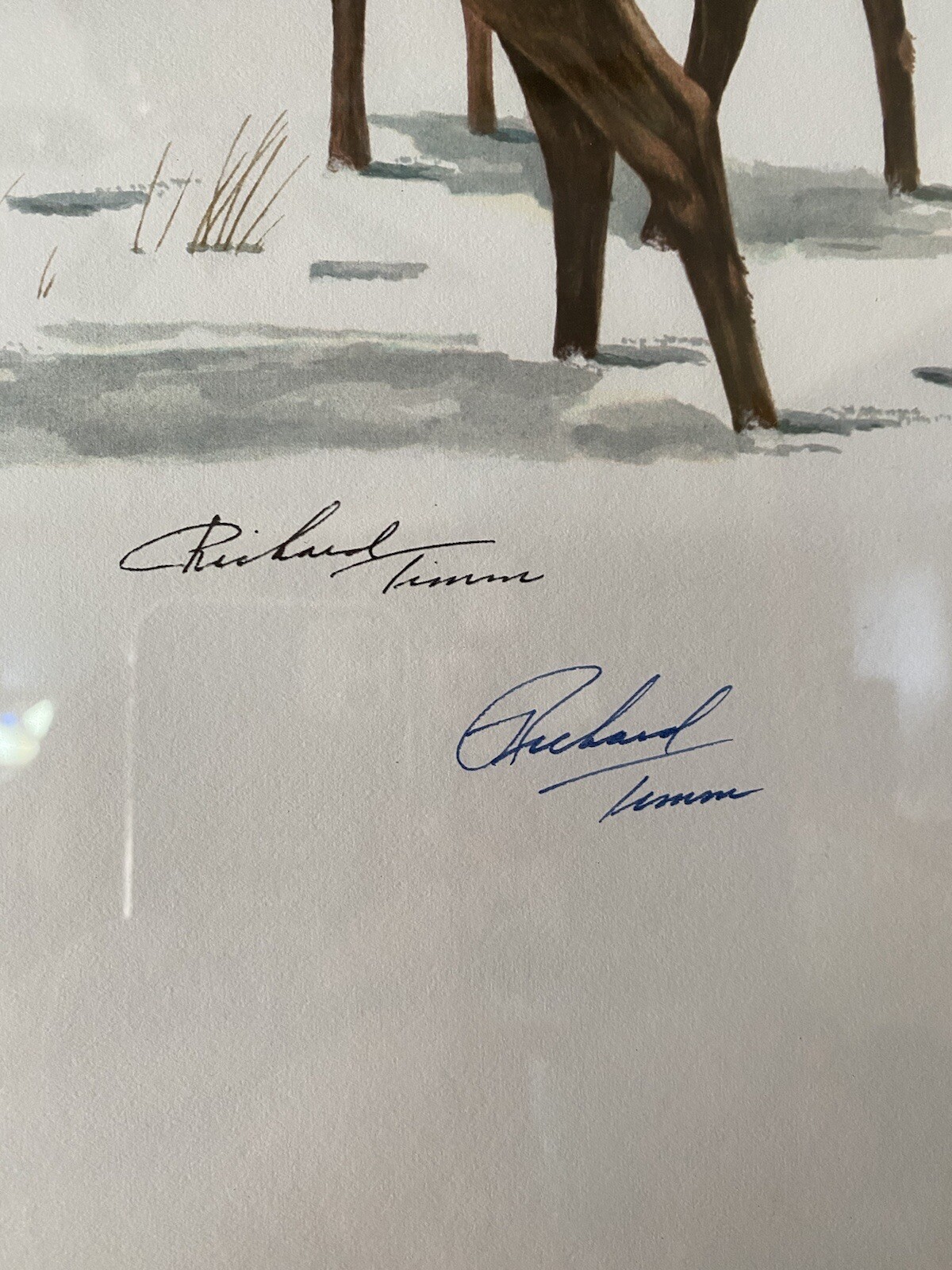 Vintage Richard Timm Signed Framed Elk Print | eBay