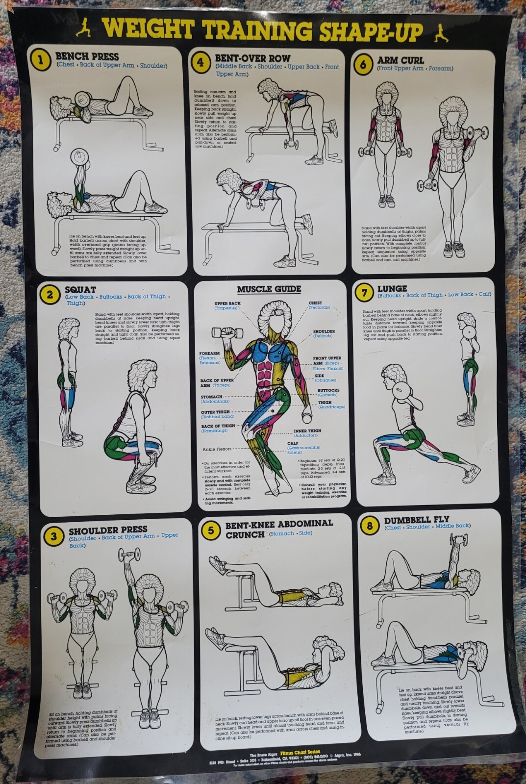 RARE 1986 Vintage Bruce Algra Workout Fitnus Chart Series Fitness ...