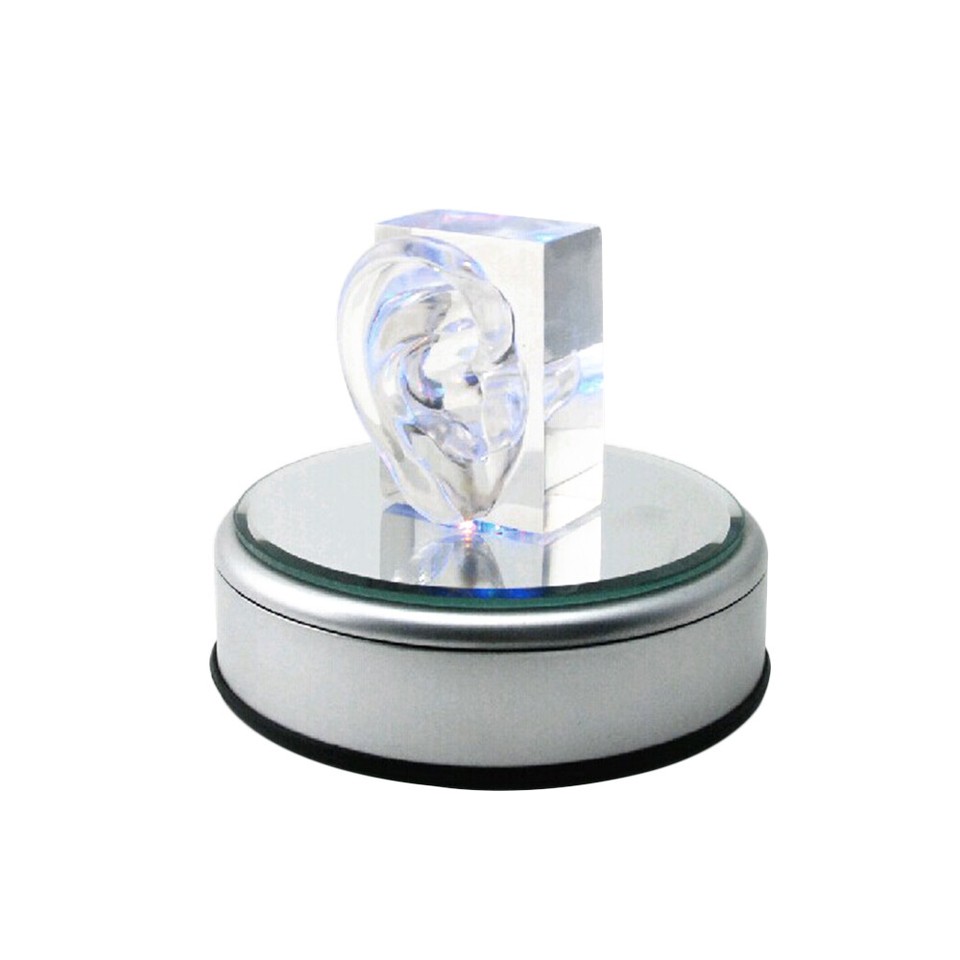 1Pair Acrylic Ear Model Demo EarMold for Hearing Aid Display and Ear ...