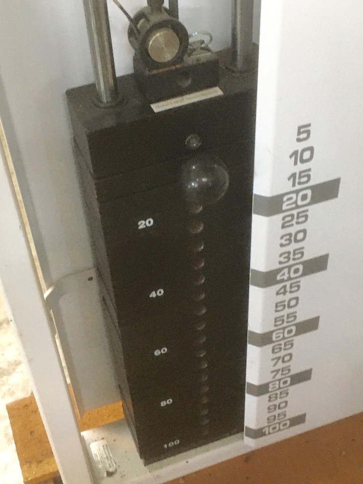 Hoggan Camstar Rotary Twist oblique exercise machine. GC, Free delivery ...