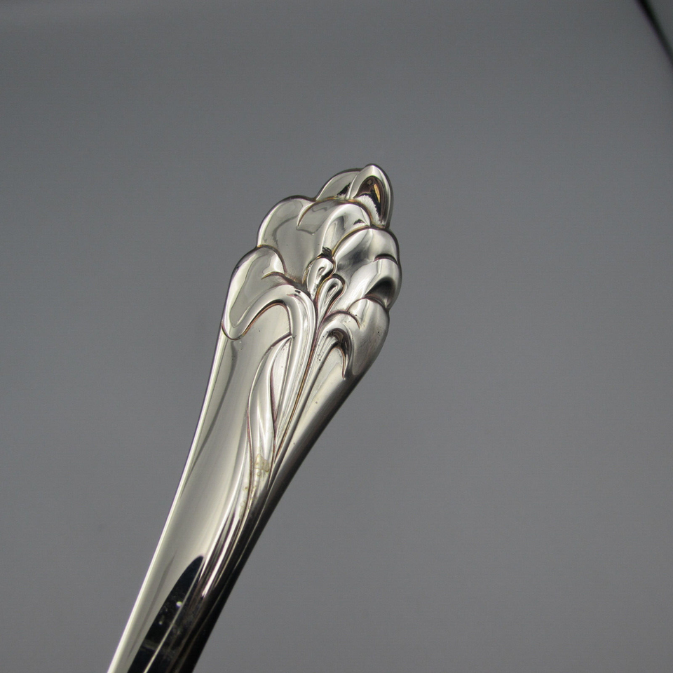 Oneida Stainless AMARYLLIS Slotted Serving Spoon NOS USA | eBay