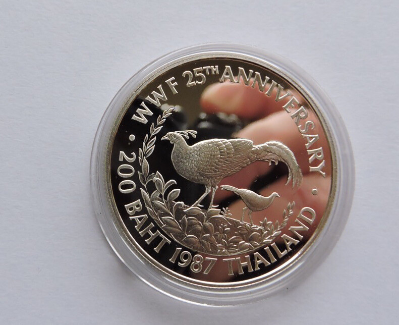 WWF - On Ebay - Multiple Results on One Page