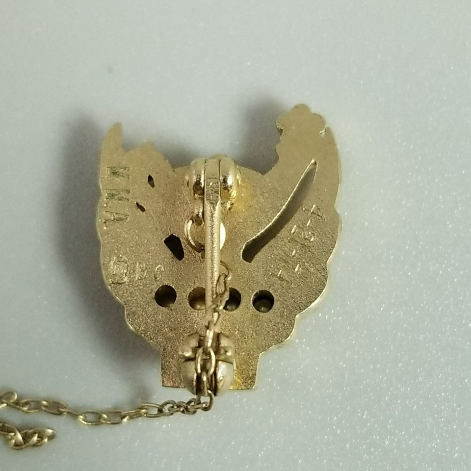 Vintage 1974 Delta Zeta AZ Fraternity Sorority Badge Pin Brooch, Gold ...