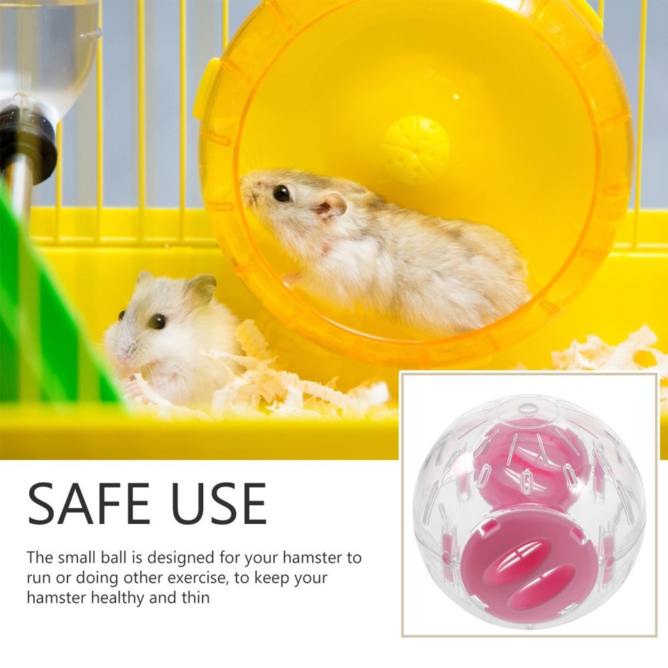 2 Pcs Toys Hamsters Small Animals Exercise Ball Activity Enrichment ...