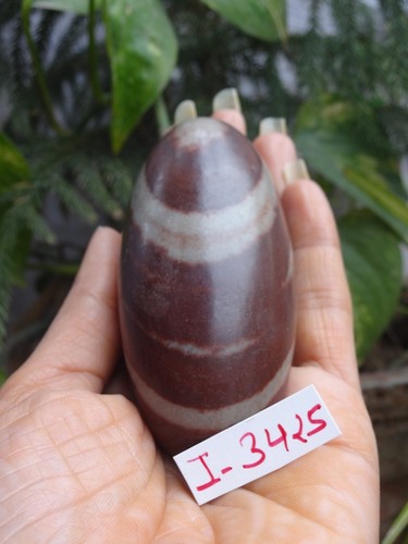 3.25"Shiva Lingam Stone Narmada River India Rare Excellent Lingam~I ...