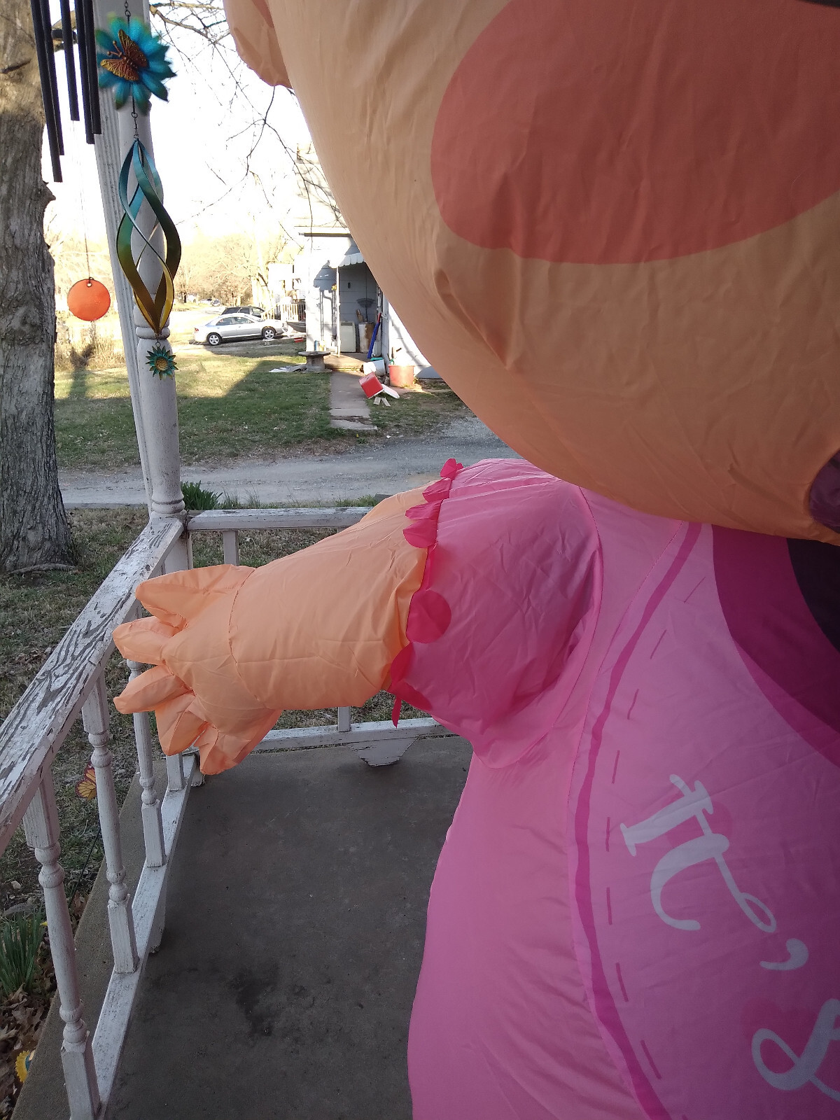 Inflatable Gender Reveal Baby Girl Costume adult cosplay gender shower ...