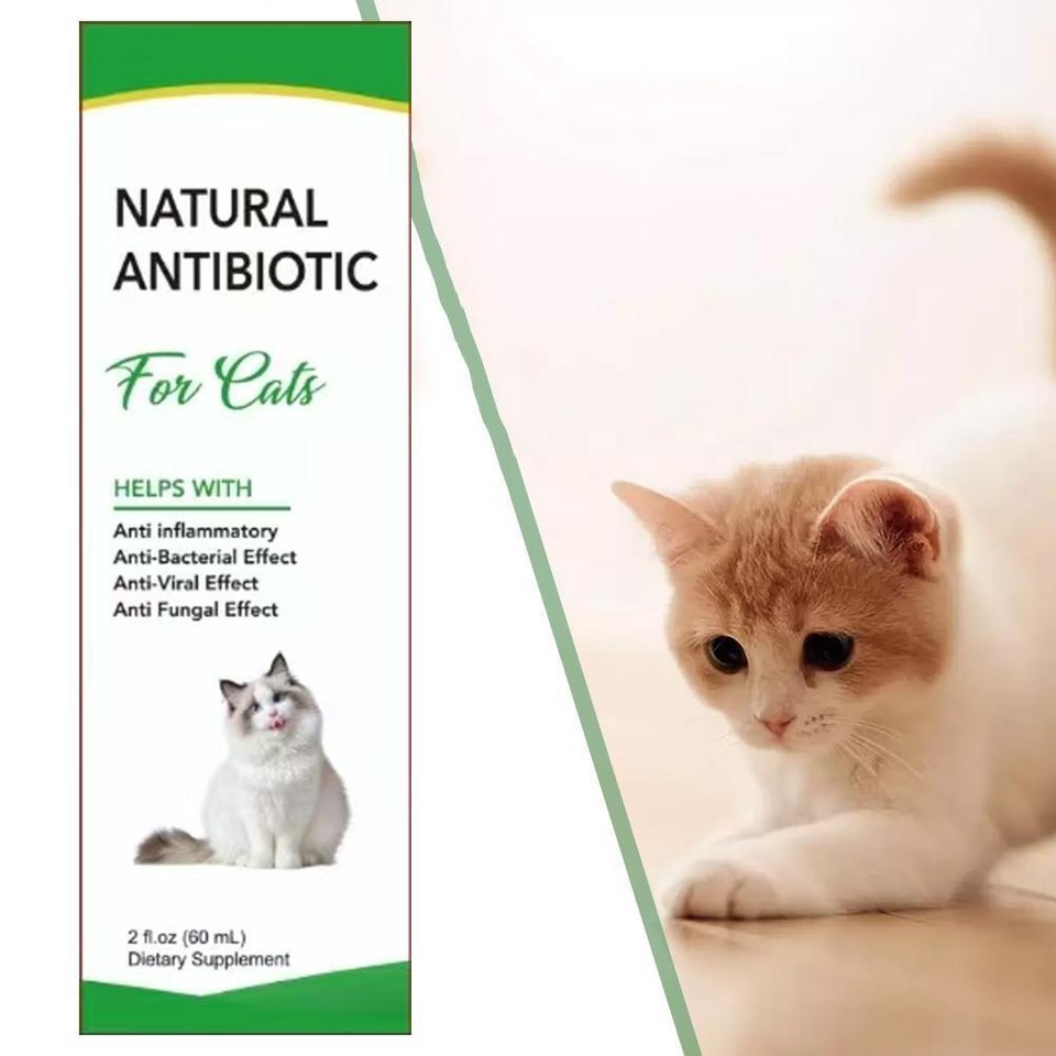 Cat Antibiotics for Infections Cat Vitamins Antibiotics for Cats ...