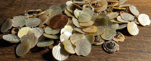 6 Beautiful Iridescent Clam Shaped Abalone Shell Shank Buttons 15mm 5/8 ...