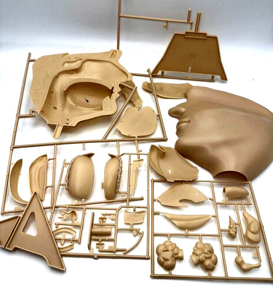 Lindberg Human Ear Nose & Mouth 3D Scale Model Kit 1982 +a bonus poster ...