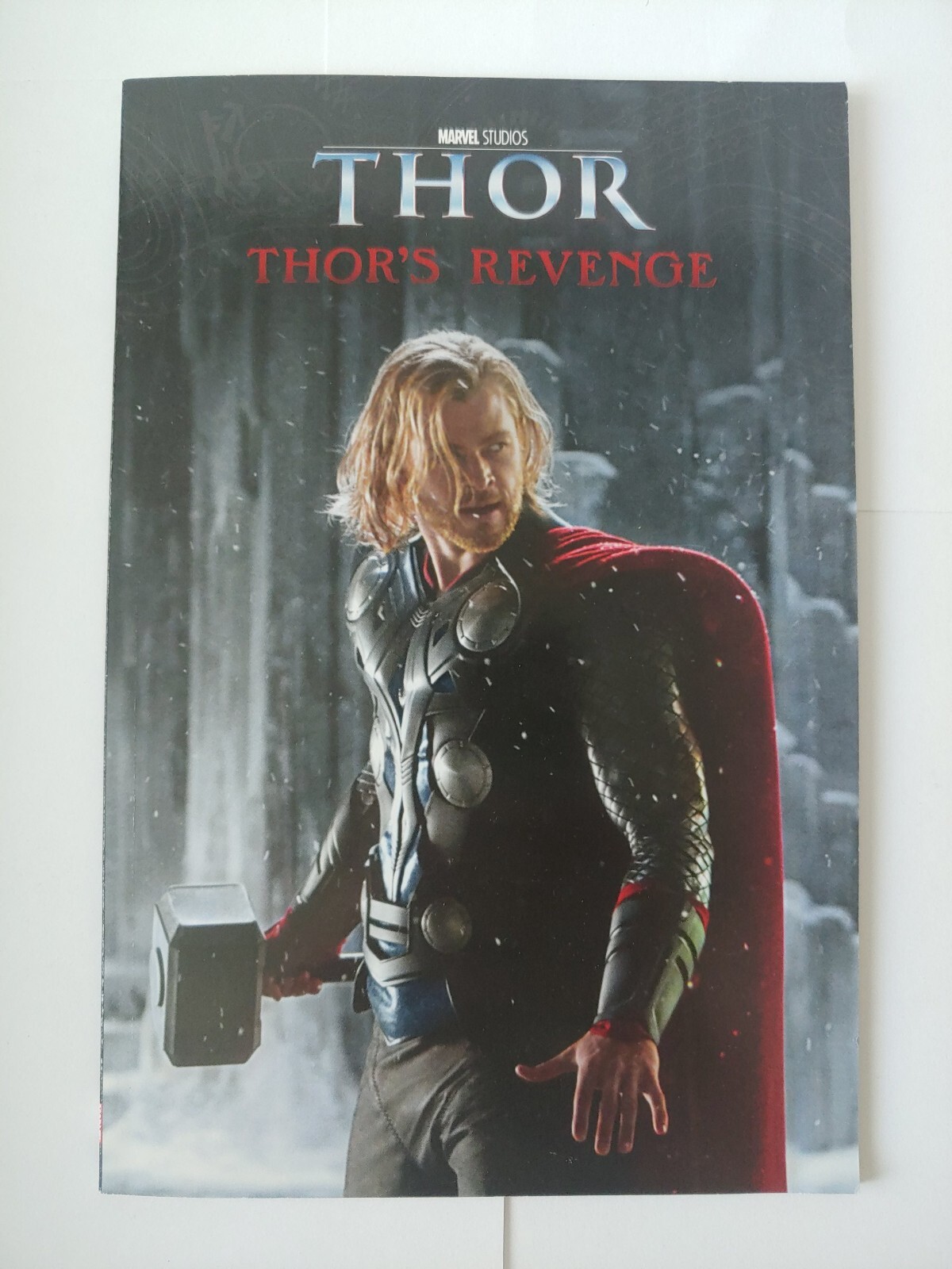 Thor's Revenge by Elizabeth Rudnick (2011, Trade Paperback) for sale ...