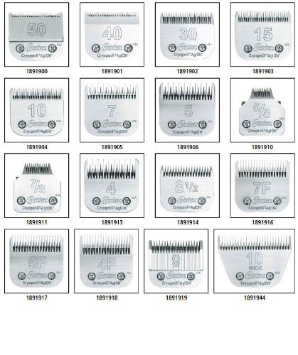 Genuine Oster Golden A5, Turbo A5 and A6 Professional Detachable ...