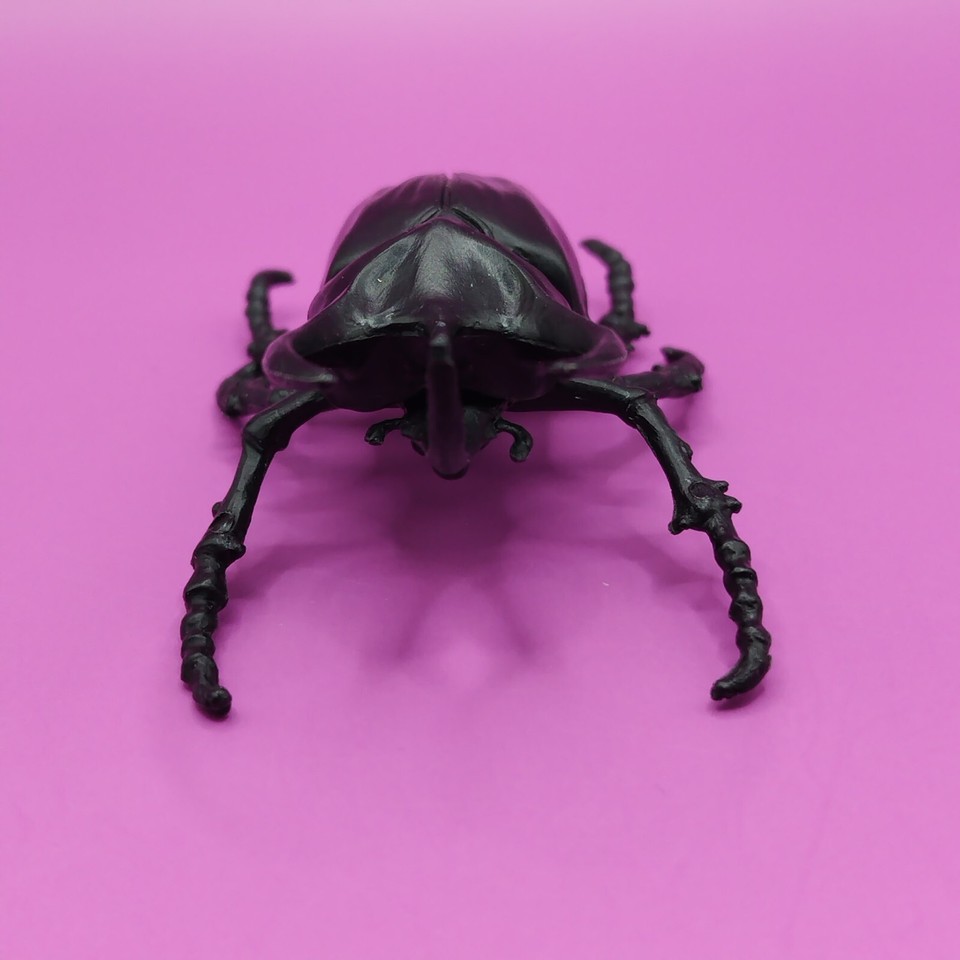 Caucasian beetle Toy Model Made in Japan Plastic Canned Insect Rare ...