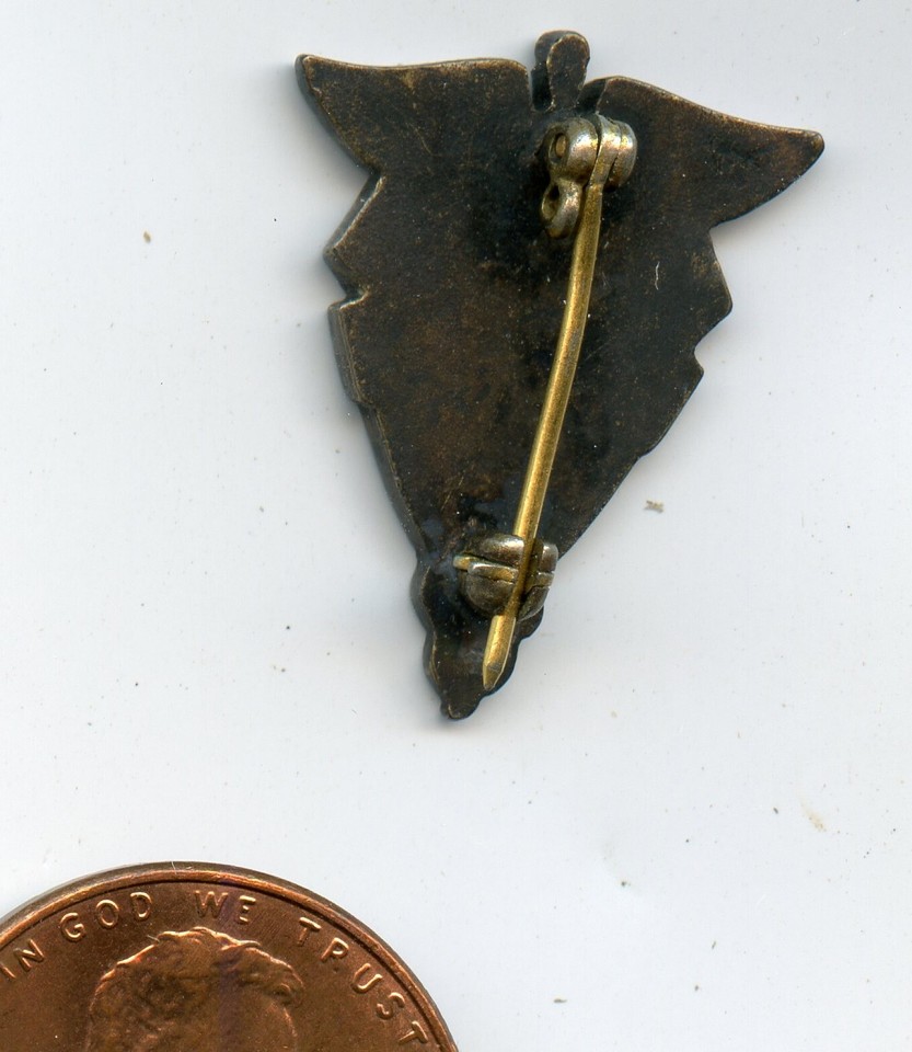 UST Nursing Education, Houston ? TX ? Vintage Medical Pin | eBay