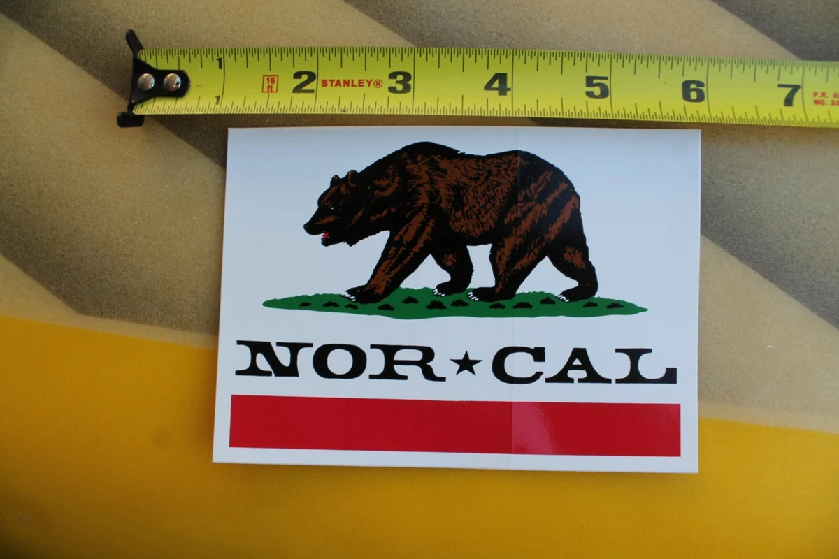 Norcal Bear Tattoo