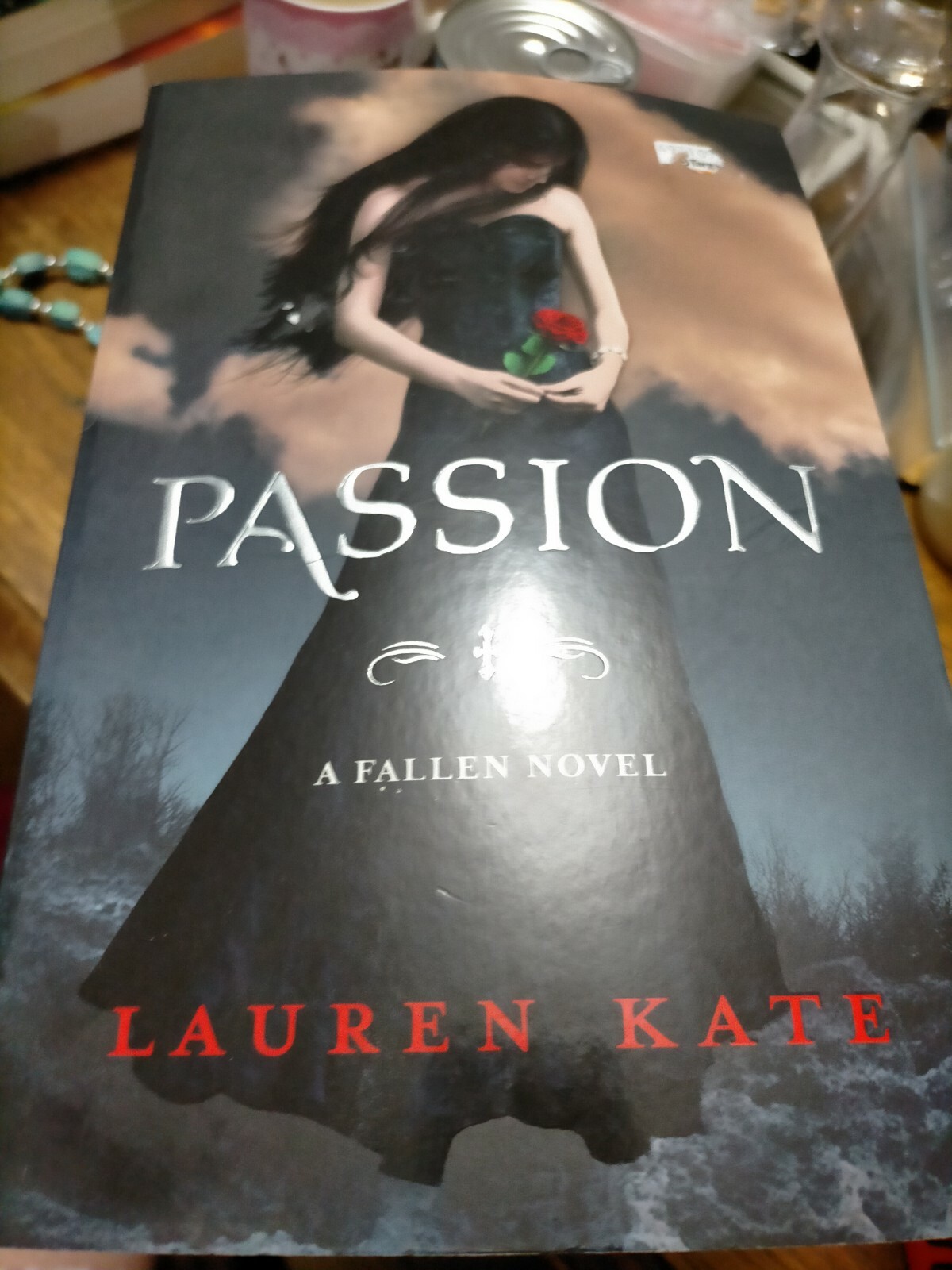 Fallen: Book 1 of the Fallen Series by Lauren Kate (Large Paperback ...