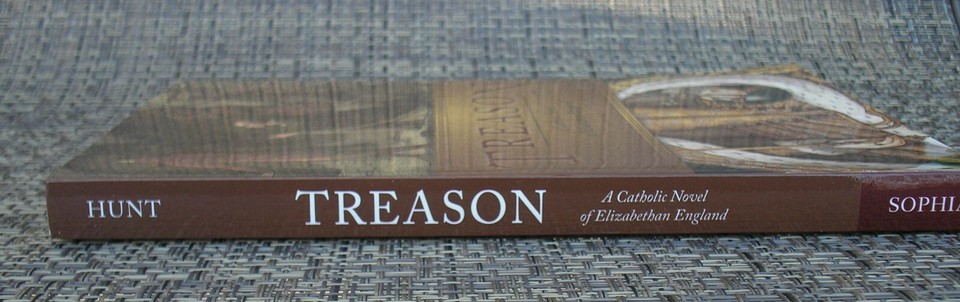 Treason by Dena Hunt (2013, Trade Paperback) 9781933184920 | eBay