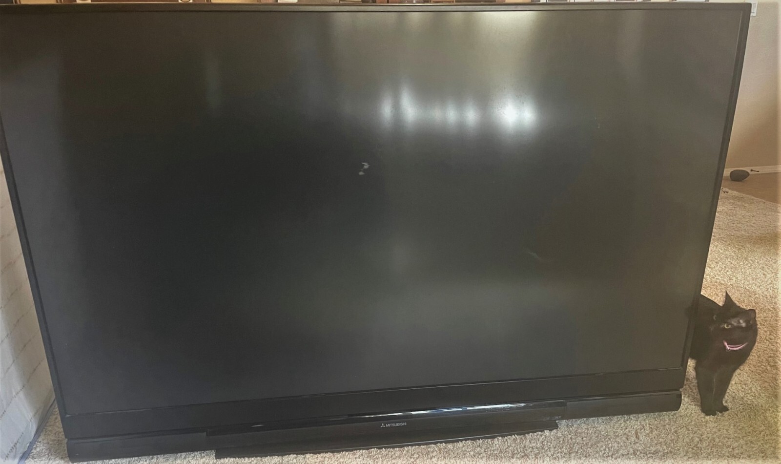 Mitsubishi 73" Television (WD-73837) | eBay