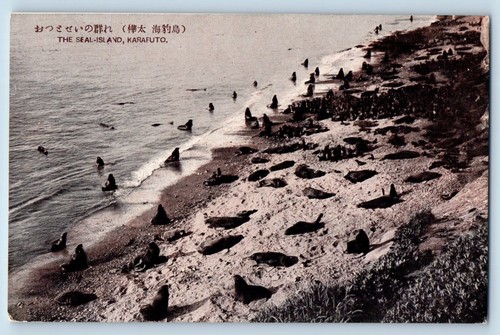 Karafuto Prefecture Japan Postcard The Seal Island c1910 Unposted ...