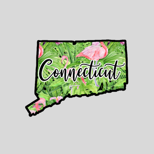 Connecticut sticker vinyl decal pink flamingo state outline novelty ...