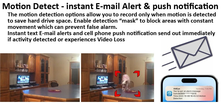 Sikker Standalone 24 channel DVR 4MP 4 Megapixel Security Dome Camera ...