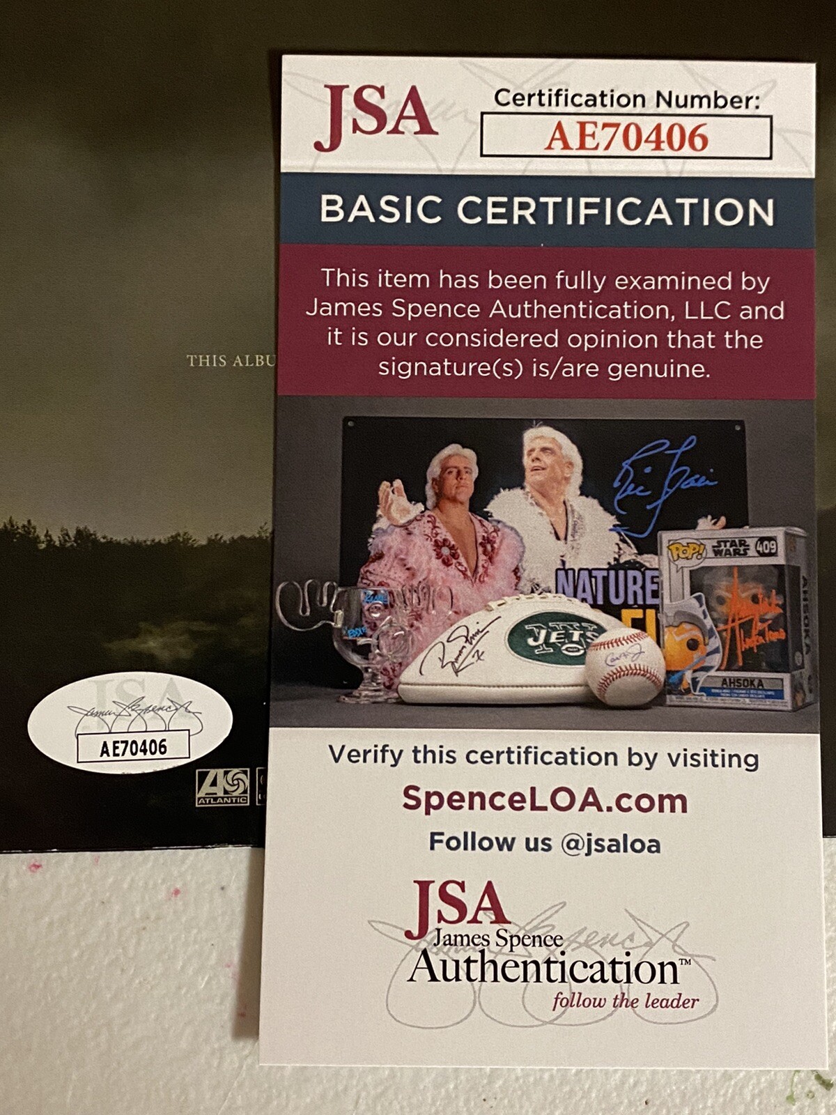 SKILLET BAND AUTOGRAPHED SIGNED FRAMED VICTORIOUS CD COVER WITH JSA COA ...