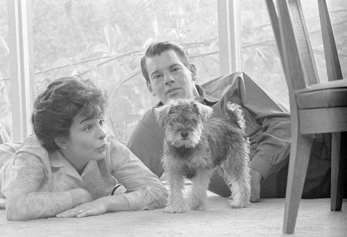 Lot of (5) 1964 JEANNE BAL Original Photo Negatives LOVE AND MARRIAGE ...